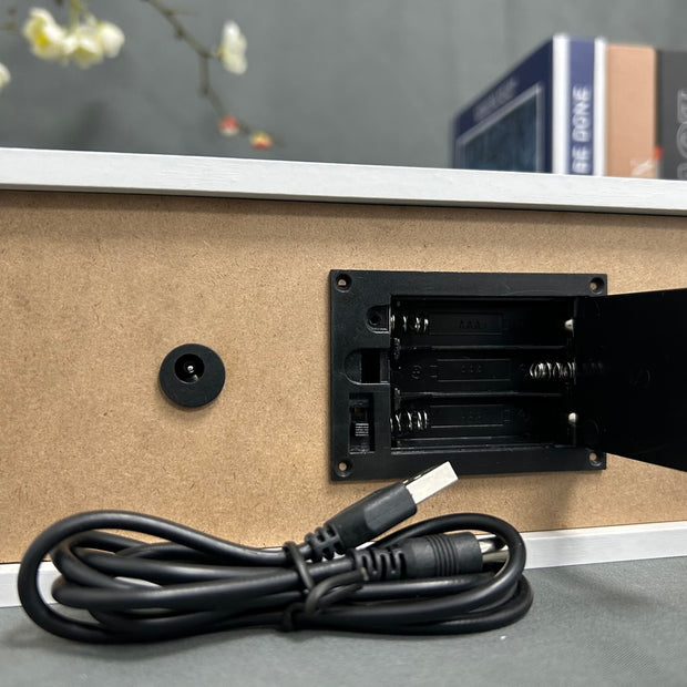 Zero Two Lightbox | Island of Anime